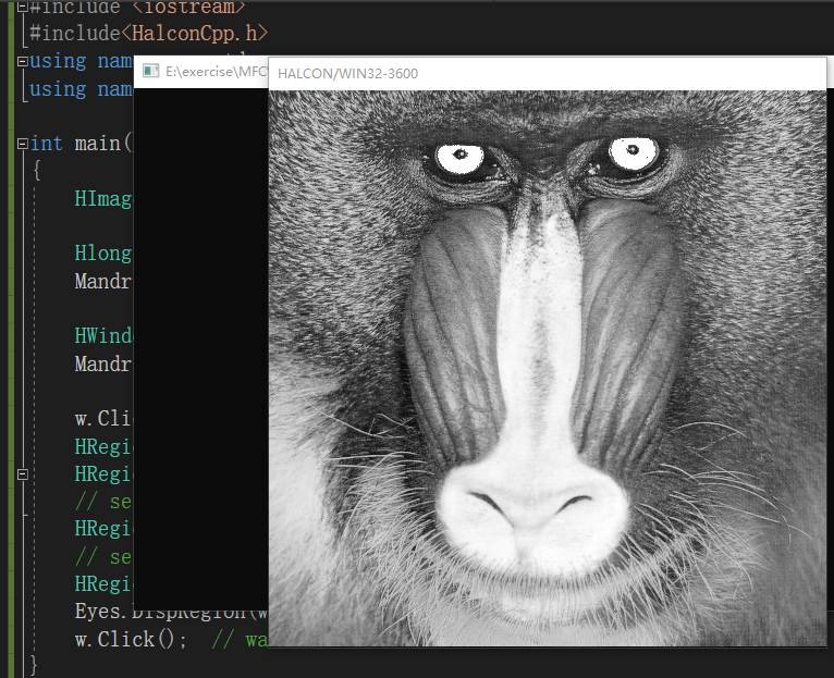 Halcon's use of Halcon/C ++ programming - Programmer Sought