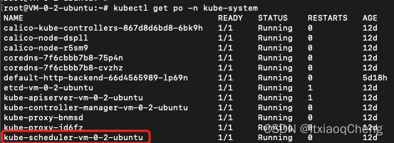 kubernetes scheduler 调度器 相关知识整理_leastrequestedpriority-CSDN博客