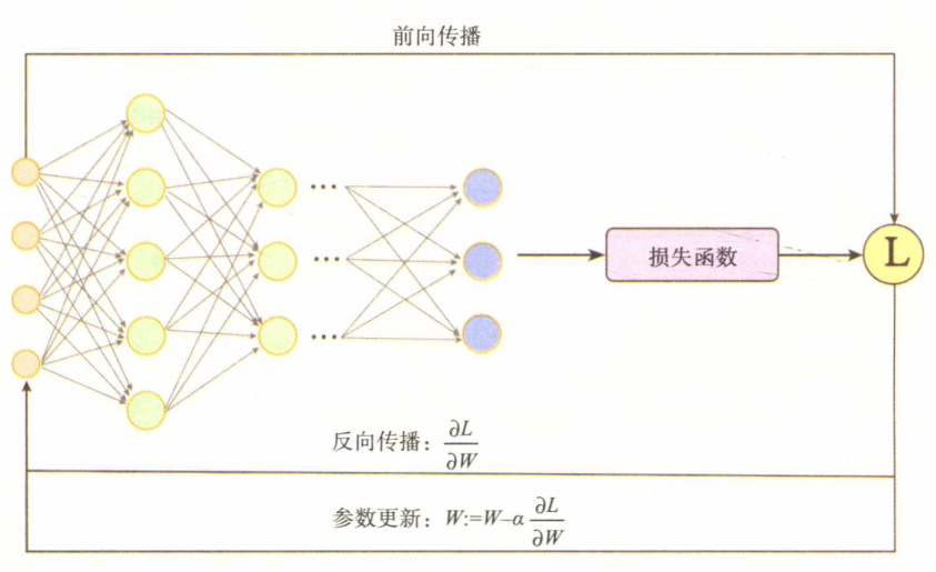 训练神经网络神经网络第l层误差依赖于第l 1层误差 Csdn博客 