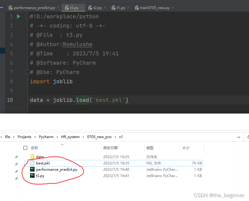 使用python读取autogluon模型报错_buildkite-windows-cpu-autoscaling-CSDN博客
