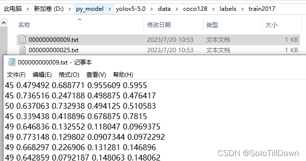 Coco、 3d图像分割 Csdn博客