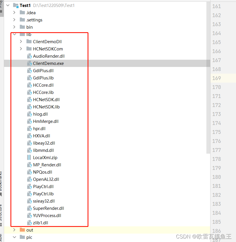 Java对接海康威视sdk实现红外dlt抓图java可以通过调用海康摄像机的sdk来实现红外抓图和矩阵测温功能 Csdn博客 