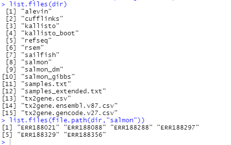 生信入门（四）——使用DESeq2进行RNA-seq数据分析_tximport-CSDN博客