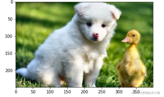 albumentations数据增强学习_randomrotate90-CSDN博客