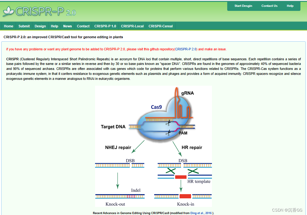 基因编辑载体的构建（以玉米为例）-CSDN博客
