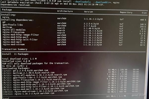 Kylin v10 x86_64系统下载整个Yum源的所有安装包到本地指定目录_本地yum源下载-CSDN博客