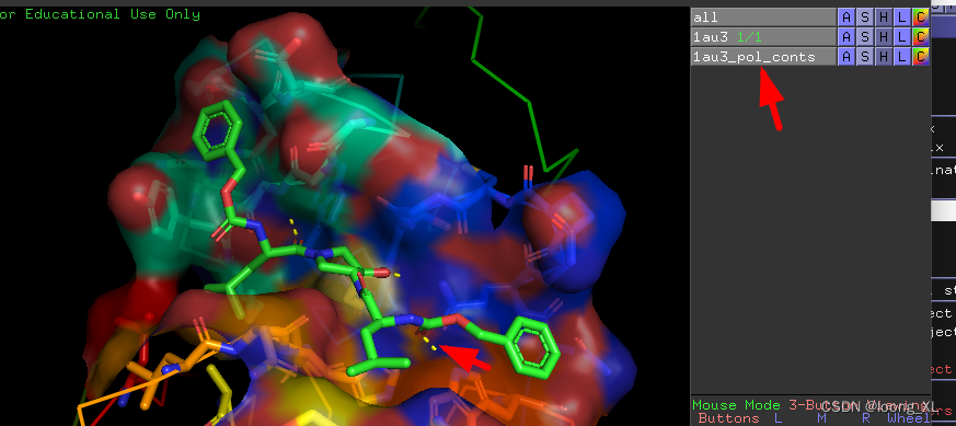 pymol 分离蛋白与小分子保存；pymol分离蛋白多聚体亚基；pymol对接位点交互图展示；去除杂原子_loong_XL的博客-CSDN博客