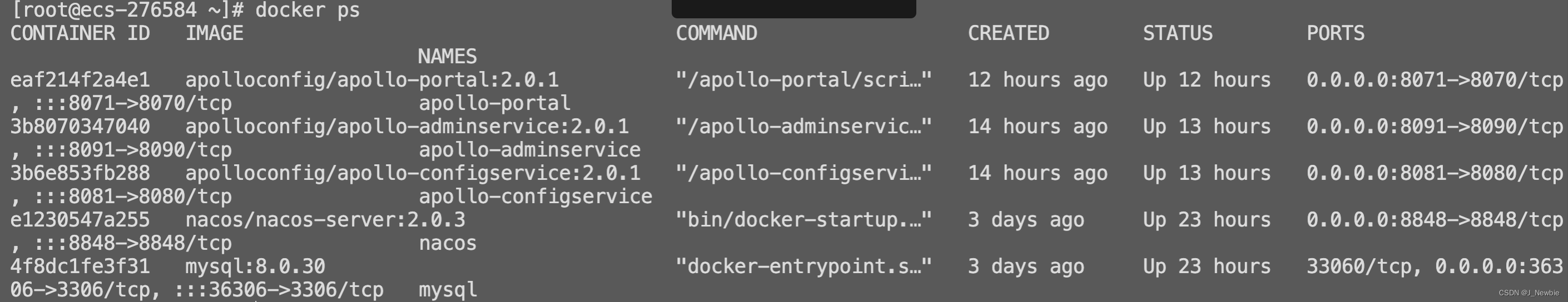 docker安装Apollo,并用java连接测试_could not load config for namespace application fr-CSDN博客