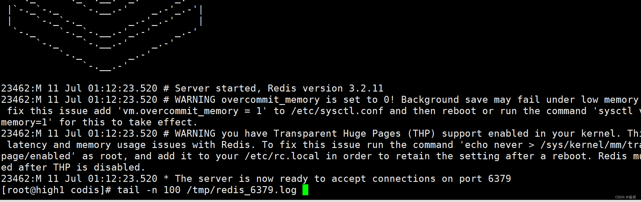 部署codis_codis下载路径-CSDN博客