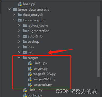 【深度学习技巧】Ranger优化器的使用-CSDN博客