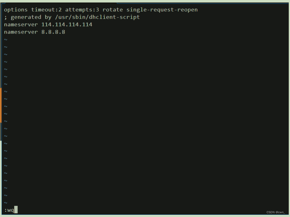 实验5 DNS协议分析与测量_cwn_的博客-CSDN博客