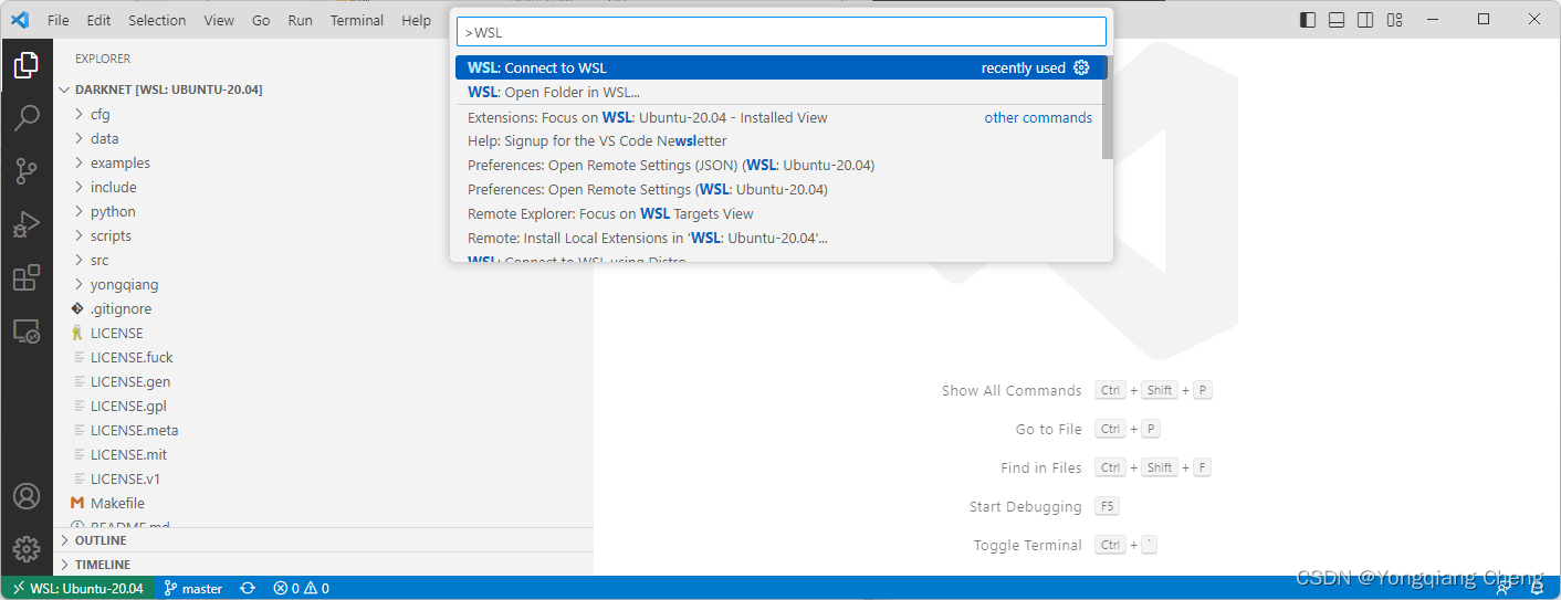 使用 Visual Studio Code (VS Code) 访问 Windows Subsystem for Linux (WSL)_vscode操作wsl-CSDN博客