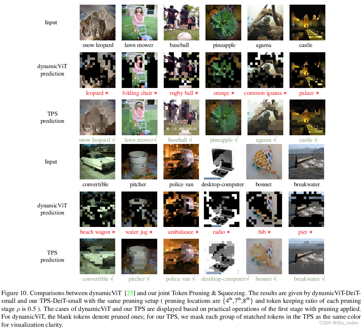 Joint Token Pruning and Squeezing Towards More Aggressive Compression of Vision Transformers-CSDN博客