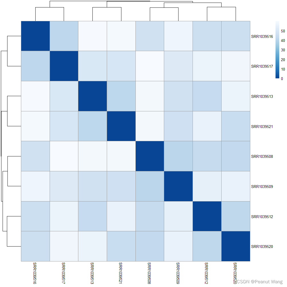 RNA-Seq数据使用DESeq2、edgeR和limma-voom进行差异分析_limma,edger,deseq的区别-CSDN博客