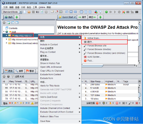了解owasp zap扫描器_owasp zap automated scan-CSDN博客