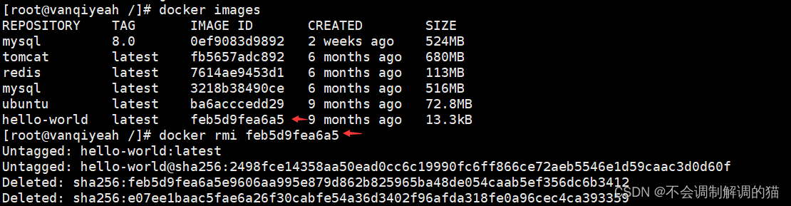 Docker容器 - 基础命令_docker rm 容器id-CSDN博客