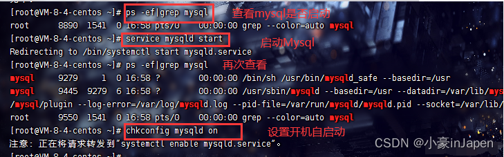 搭建服务器安装Linux系统 原生安装jdk和MySQL_在linux安装mysql还需要安装jdk吗-CSDN博客