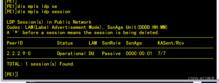Mpls通过bgp实现互通mpls Bgp Csdn博客