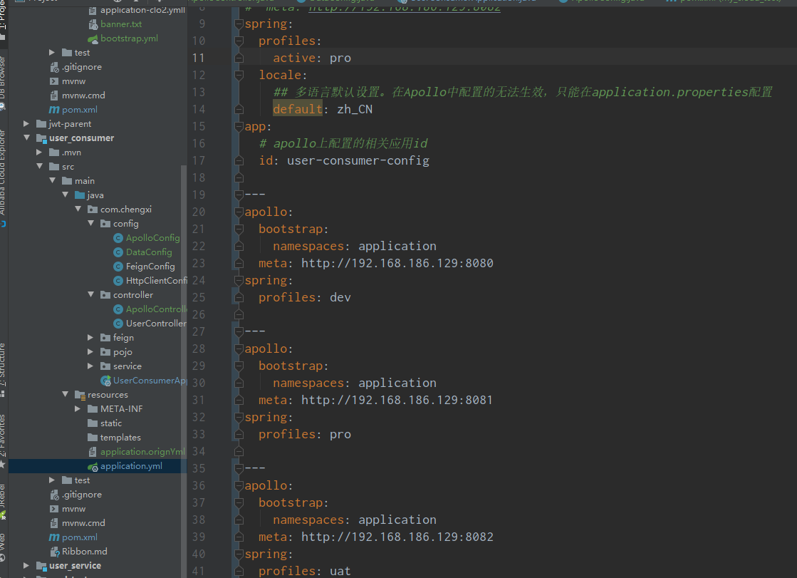 Apollo多环境以及集群配置_apollo 集群-CSDN博客