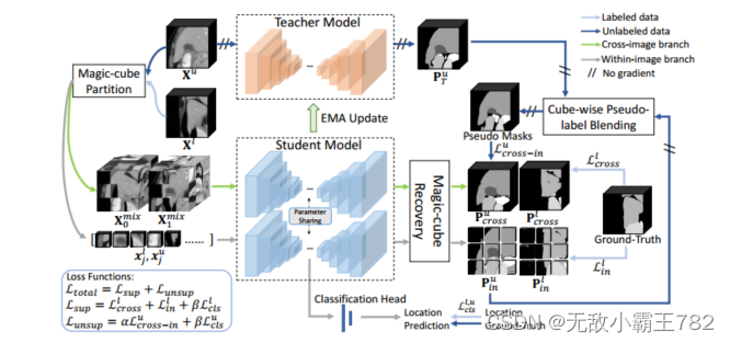 3D分割模型分享~MagicNet,3DUnet,TimeSformer-CSDN博客