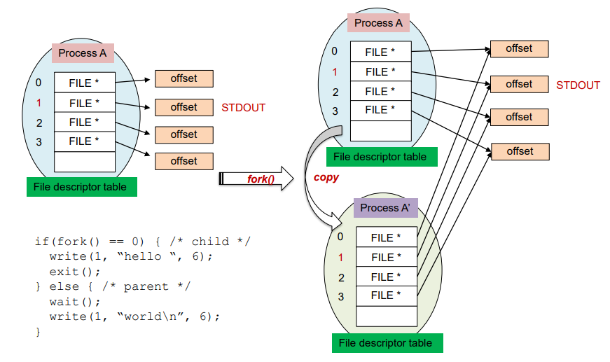 【OSTEP】进程API | 系统调用 fork wait exec | 僵尸进程 | 孤儿进程 | IO重定向 | 文件描述符 fd | 匿名管道 | 命名管道 | 非阻塞 | IPC 进程 ...