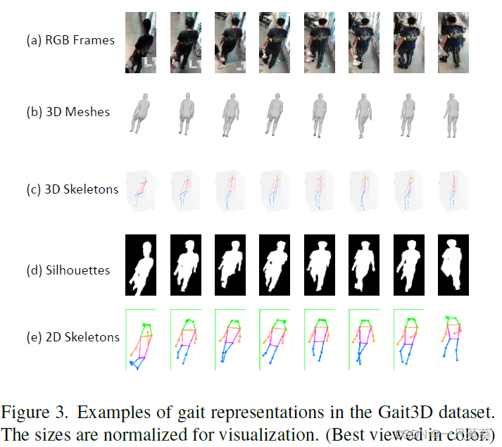 【步态识别】SMPLGait 算法学习《Gait Recognition in the Wild with Dense 3D Representations and A Benchmark ...