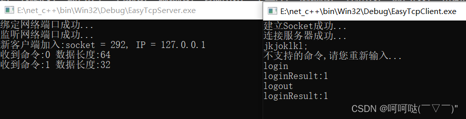 网络数据报文的格式定义及使用_报文数据-CSDN博客