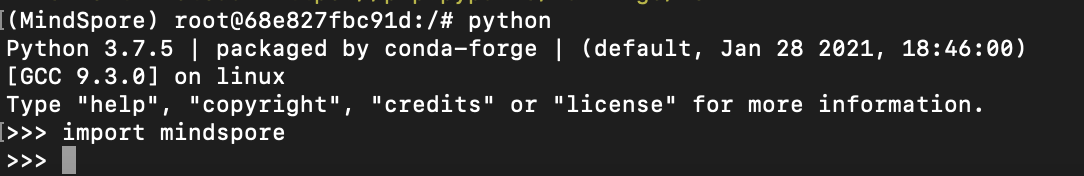 基于docker的华为云MindSpore环境搭建_华为服务器如何创建mindspore环境-CSDN博客