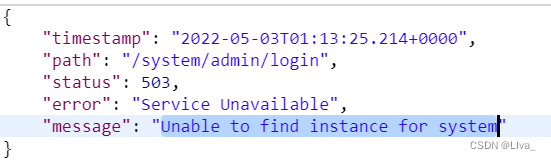 Unable to find instance for system-CSDN博客