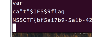 nss_pwn部分题解_[watevrctf 2019]voting machine 2-CSDN博客