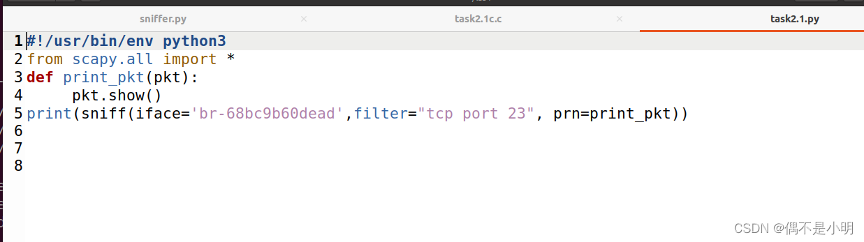 Lab1 Packet Sniffing and Spoofing Lab-CSDN博客