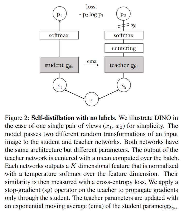 自监督学习论文、代码汇总_dcl 和 byol 技术-CSDN博客
