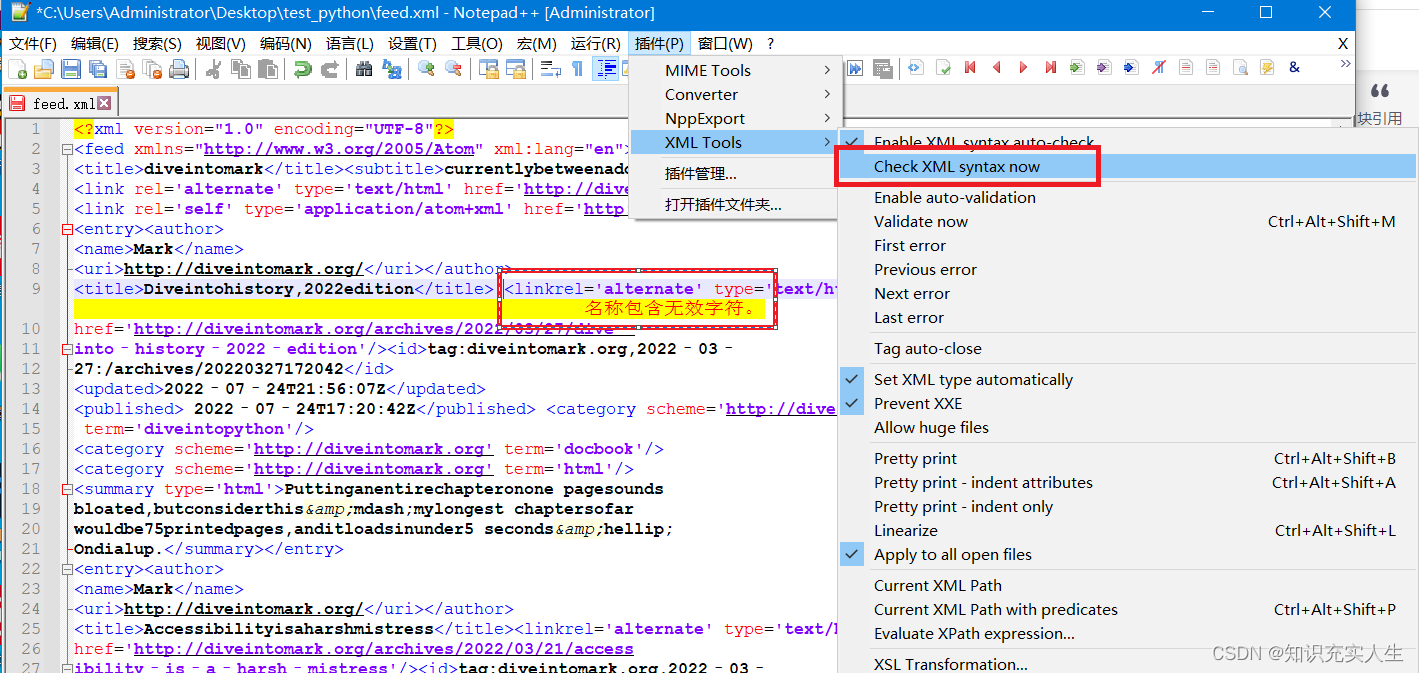 XML文件内容格式化与语法错误自动检查_xml格式检查-CSDN博客
