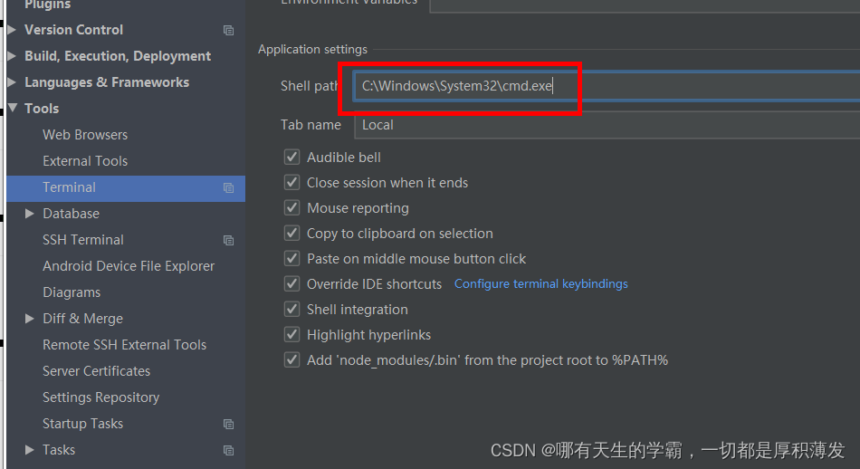 idea中执行“npm”命令，提示‘npm‘ 不是内部或外部命令，也不是可运行的程序_idea npm不是内部或外部命令,也不是可运行的程序-CSDN博客