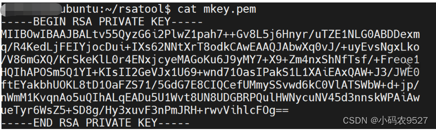 通过RSA中的N、E、D、P生成秘钥_rsa密钥获取n和e-CSDN博客