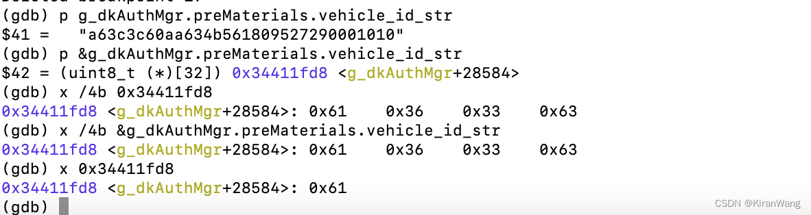 Gdb 查看、修改内存gdb 查看内存 Csdn博客