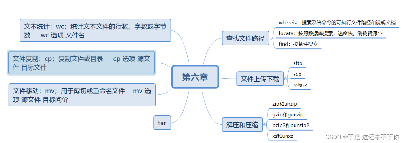 CSA作业4-CSDN博客
