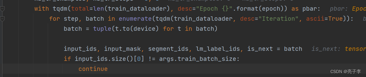 BERT系列： tinyBERT 介绍与代码训练。-CSDN博客