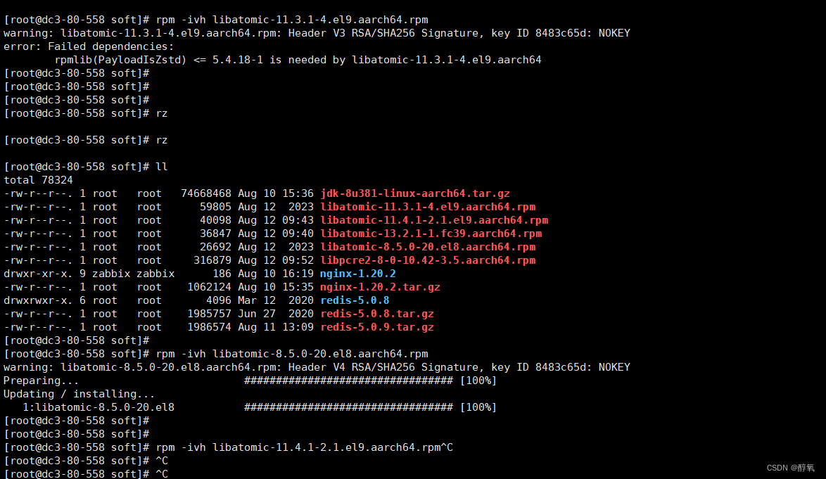 Openeuler 安装redis服务openeuler安装redis Csdn博客