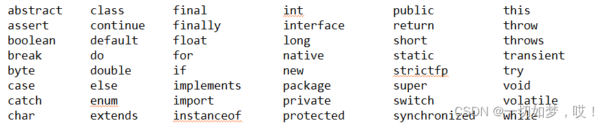 Java中的变量和数据类型 Csdn博客