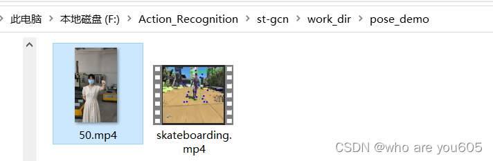 ST-GCN可视化（python mmskl.py pose_demo）_st-gcn可视化代码-CSDN博客