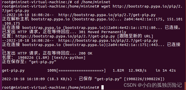 Ryu控制器的安装_ryu安装-CSDN博客