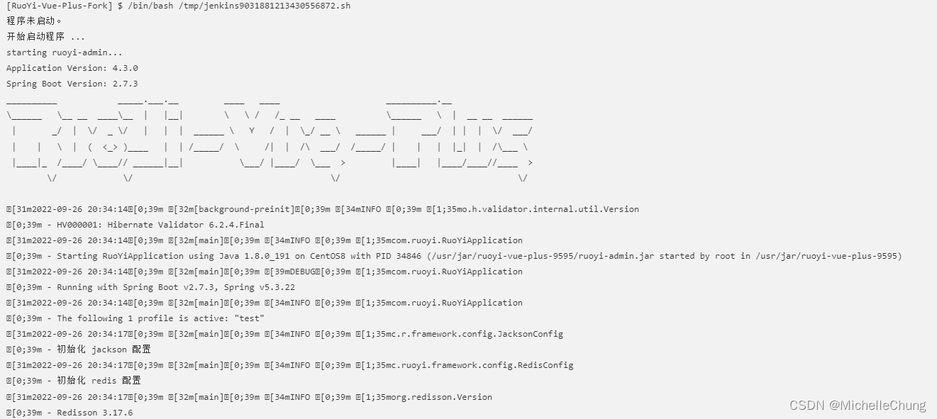 【ruoyi Vue Plus】扩展笔记 04 Centos 8 配置 Jenkins 自动发布 Csdn博客