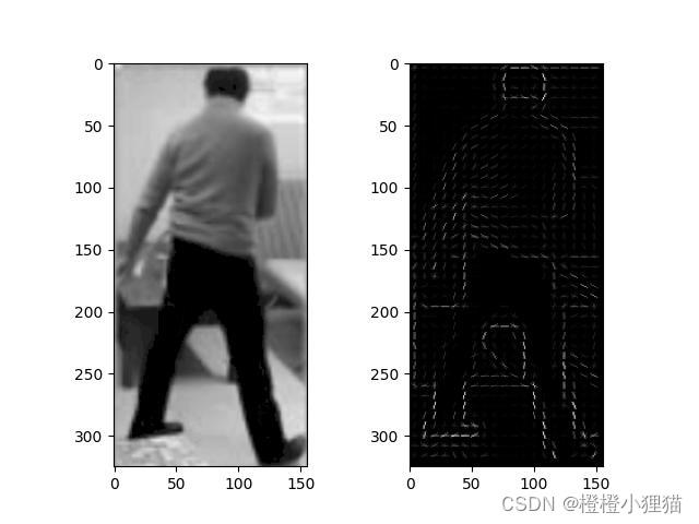 Python Hog(方向梯度直方图)代码实现及其分析python Histogram Of Oriented Gradient Csdn博客