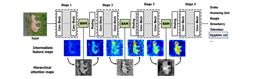 第七周作业：注意力机制学习的part2_for the spatial attention branch, we learn the spa-CSDN博客