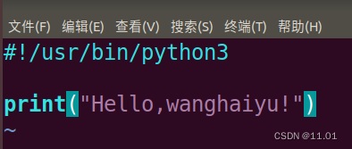 Linux环境下安装python并编写简单程序_linuxpython如何编写程序_11.01的博客-CSDN博客