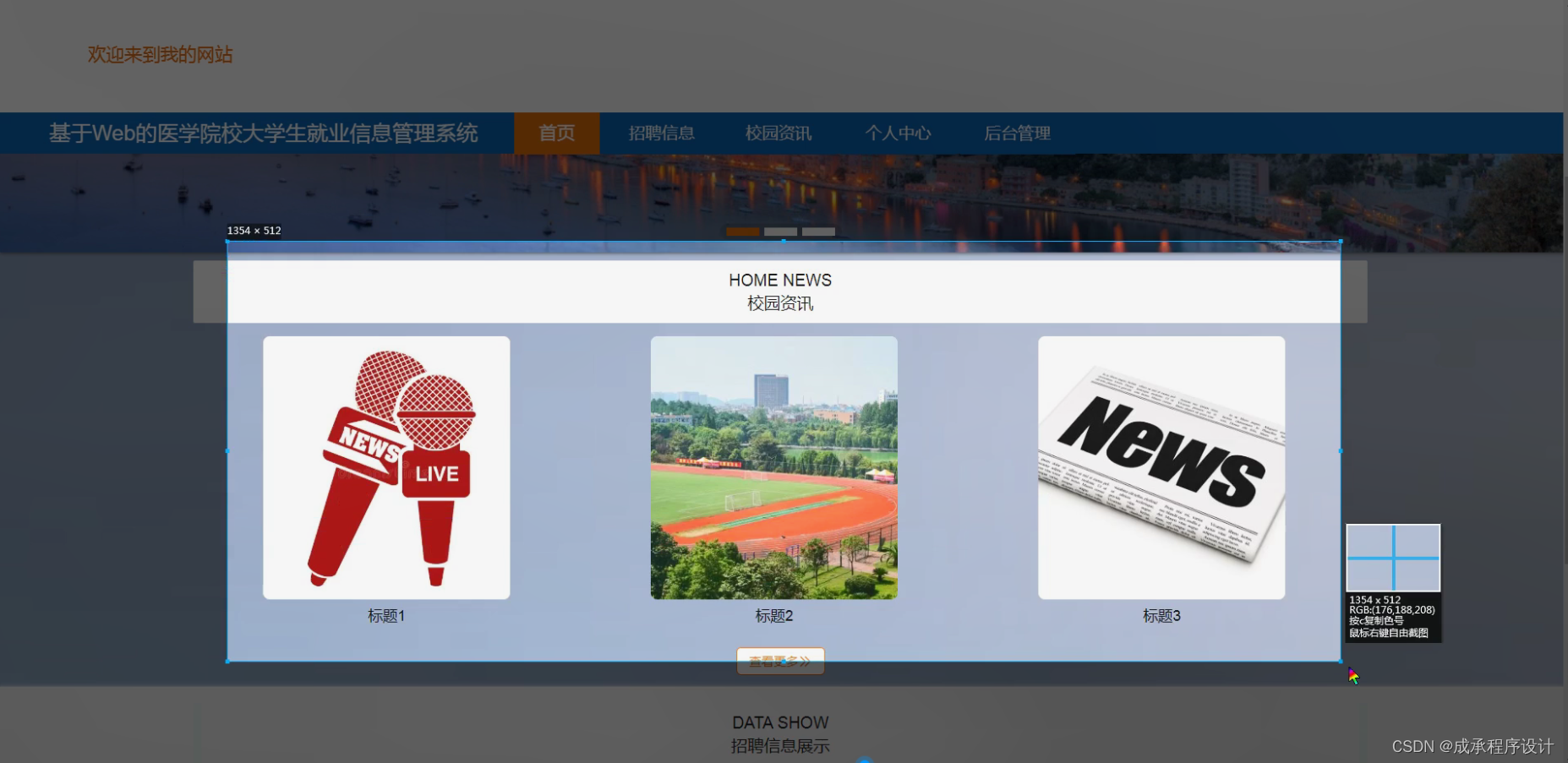 Java基于web的医学院校大学生就业信息管理系统(开题源码)基于web的大学生就业平台的设计与实现的源代码怎么用 Csdn博客