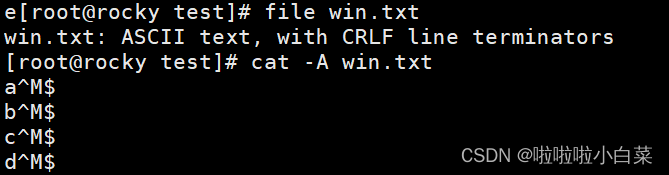 Linux关于cat -A 的一些简单了解-CSDN博客