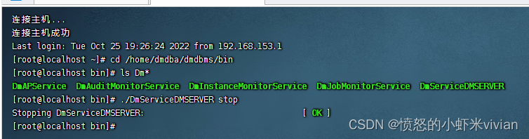 DM数据库文件迁移_dm数据迁移-CSDN博客