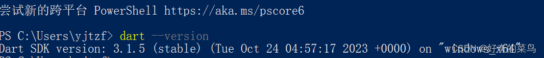 Dart开发环境搭建-Windows_dart sdk下载-CSDN博客
